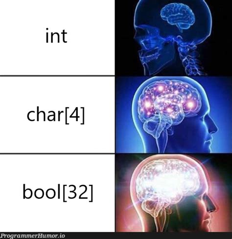 Int ProgrammerHumor Io