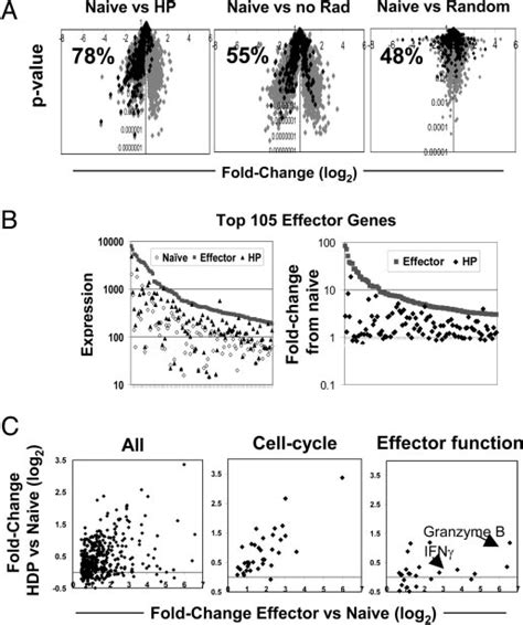 Genes Expressed By Effector Cells Are Up Regulated During Hp A