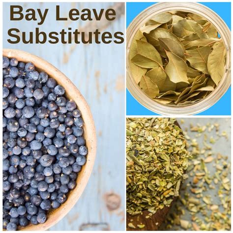 11 Bay Leave Substitute Options