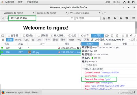 web网络 nginx优化与防盗链 csdn博客