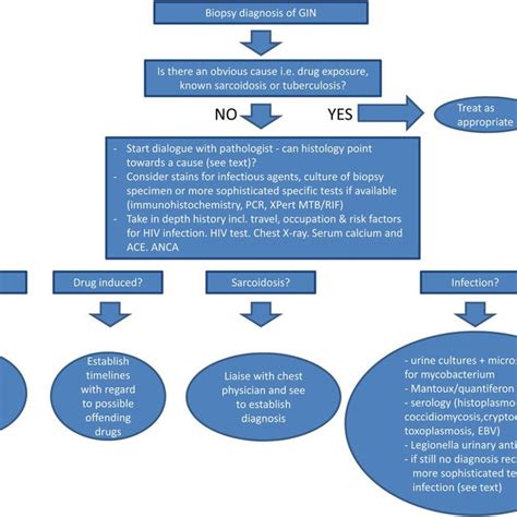 Stepwise Diagnostic Approach To Gin Ebv Epstein Barr Virus Lam Download Scientific Diagram