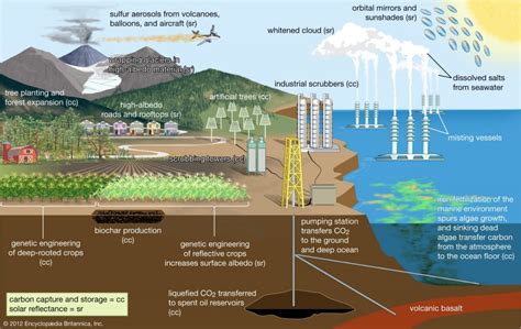 Carbon Sequestration Investments Profitable Investing Tips