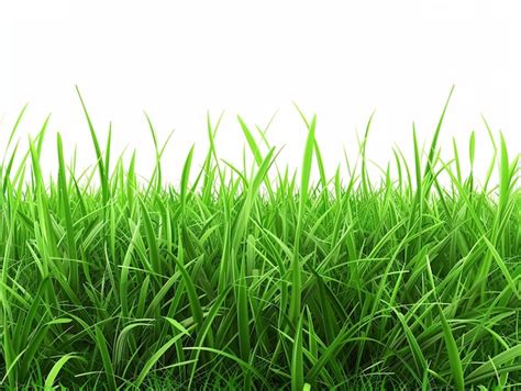 Realistic Green Grass Field Isolated On White Background Premium Ai