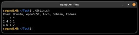 Using Exec Command In Bash Shell Scripts 4 Examples