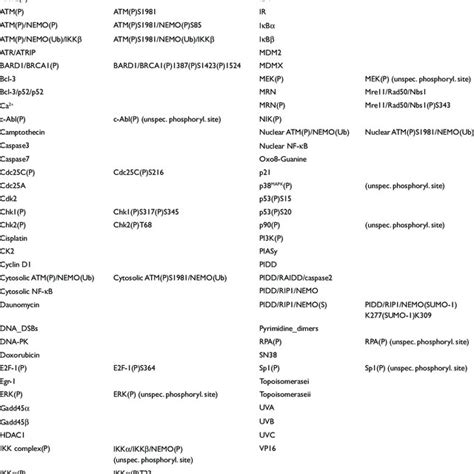 the boolean model species download table