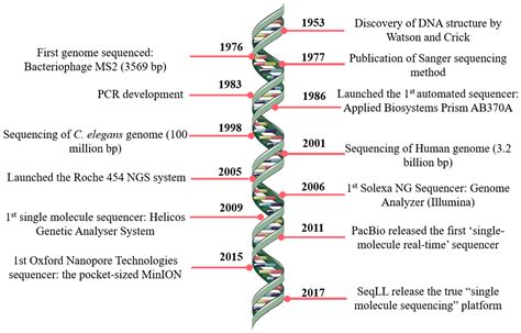 Technology Sequence Analysis Tyredei