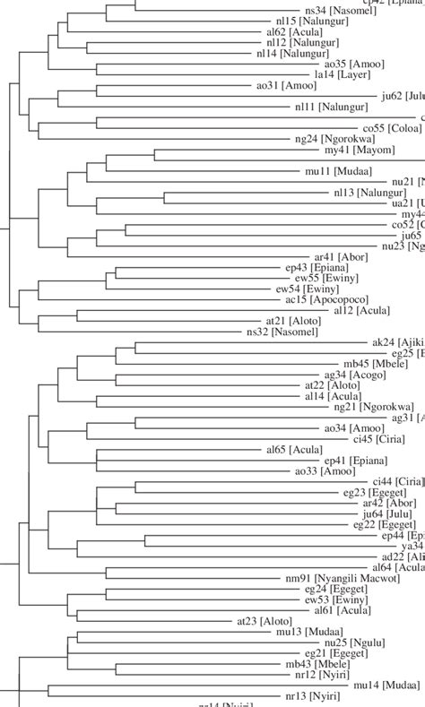 Neighbour Joining Phenogram Based On A Dissimilarity Matrix And Simple Download Scientific
