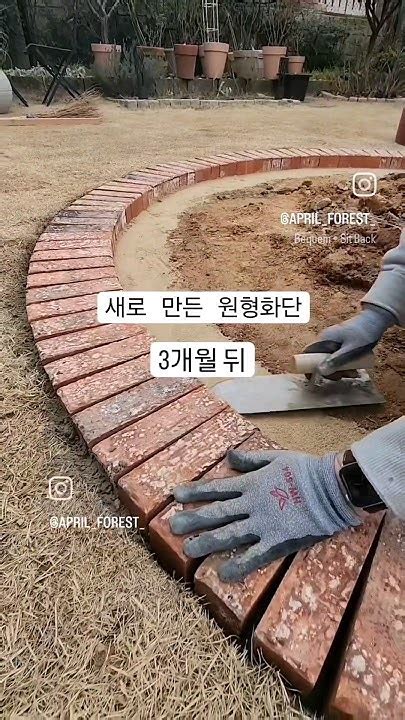 새 원형화단의 3개월 뒤 모습 ㅣ주택정원 셀프리모델링 ㅣ화단만들기 Youtube