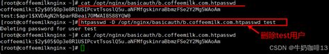 实现给nginx的指定网站开启basic认证——基本认证nginx Basic Csdn博客