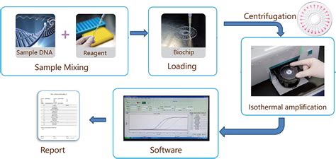 Frontiers Rapid Accurate And Novel Diagnostic Technique For Respiratory Pathogens Clinical