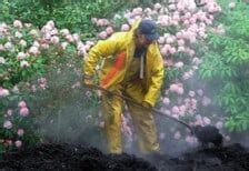 Making Large Amounts Of Compost Planet Natural