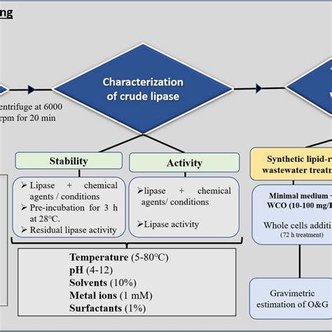 Characterization Of Colonies Of Acinetobacter Spp Clinical Isolates On Download Scientific