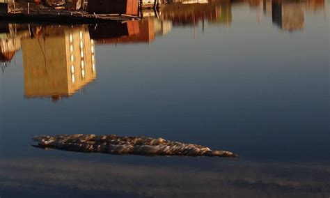 Tiksi 2021: Best of Tiksi, Russia Tourism - Tripadvisor