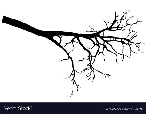 Beautiful Bare Branch Tree Silhouette Royalty Free Vector