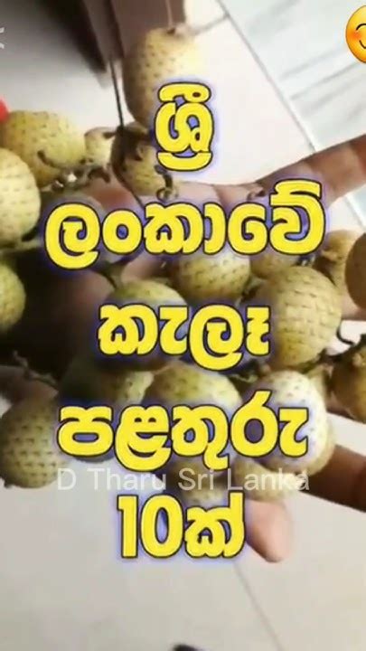 මේ පලතුරු ඔයා කාල තියෙද 👍💖 Fruit Dtharusrilanka Deliciousfood Bollywood Freefire Rap Kpop