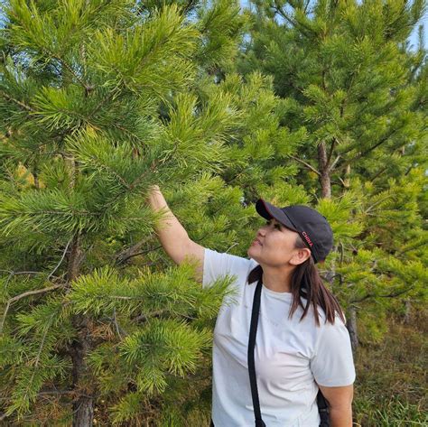 Сүхбаатар аймгийн Наран сумын ЕБС Эрхэм баян эрдэм мэдлэгийг түгээн дэлгэрүүлэгч Багш нараа