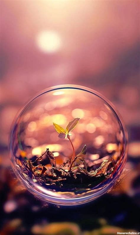 42 عکس از پس زمینه گوشی ساده و شیک برای هر سلیقه