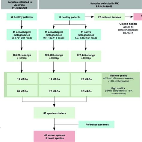 Analytical Workflow The Core Bioinformatic Flow Diagram Download