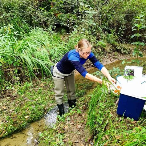 Effective Microbial Source Tracking With Edna In New Zealand