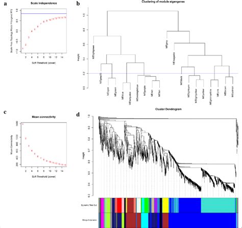 Power Values And Module Clustering Of Wgcna A Power Values Of Wgcna Download Scientific