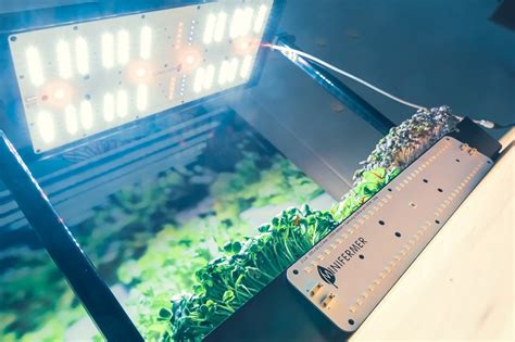 Фитолампы для растений (LED, ДНаТ, индукционные) | ВКонтакте