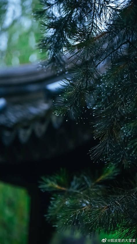 Originals C0 Fe Dd C0fedda2d7ca1c54127f26e6eb3c14a1  花瓣网