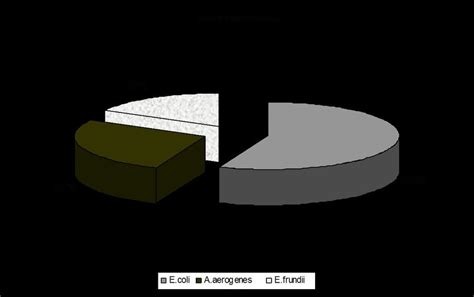 Imvic Classification Of Thermotolerant Coliform In The Drinking Water