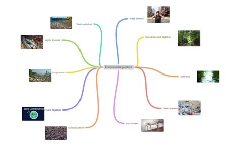 Environmental Problems