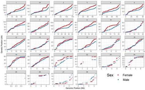 Sex Specific Autosomal Genetic Linkage Maps For House Sparrows Map Summary Download