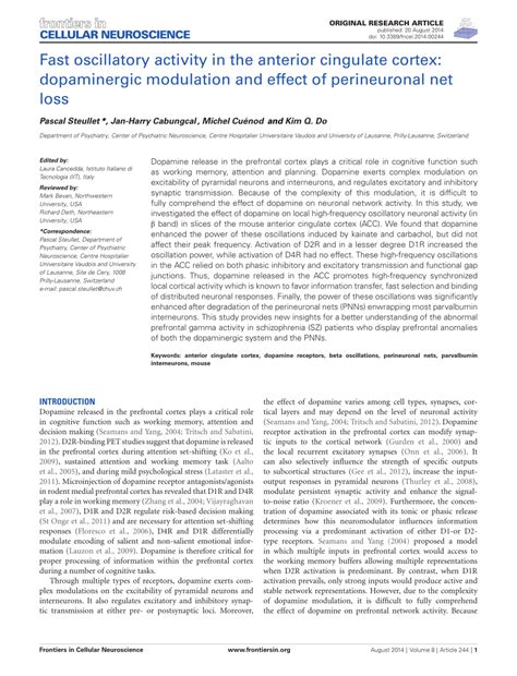 Pdf Fast Oscillatory Activity In The Anterior Cingulate Cortex