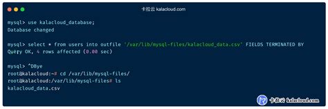 如何在 Mysql Mariadb 中导入导出数据，导入导出数据库文件、excel、csv Infoq 写作平台