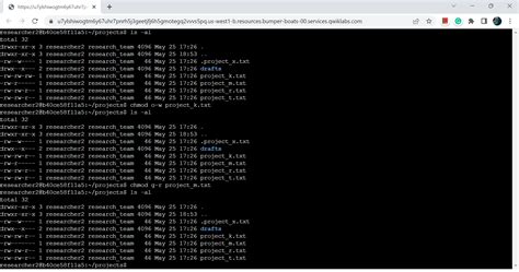 Google Cybersecurity Professional Certificate Projects Linux File Permissions Md At Main