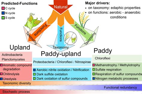 Conceptual figure showing the signatures of bacterial community taxa... | Download Scientific ...