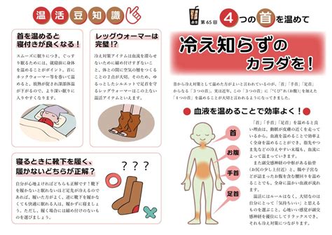 つの首を温めて冷え知らずのカラダを 順造選の読みもの