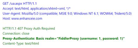 Web Proxy Authentication Textplain