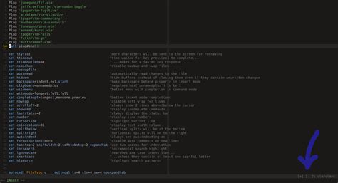 Minimal Vim Aonemd