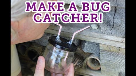 How To Use A Bug Catcher At Joshua Freeman Blog