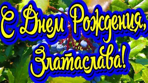 С Днем Рождения Златаслава Новинка Прекрасное Видео Поздравление СУПЕР ПОЗДРАВЛЕНИЕ Youtube