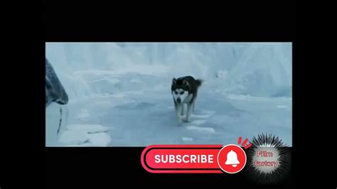 ඔන්න තව එකක් ගෙනවා යාලුවනෙ මේ ටිකෙ වෙලාව අඩුයි විඩියො අප්ලොඩ් කරන්න එ නිසා මෙම එකක් කරා යාලුවනෙ