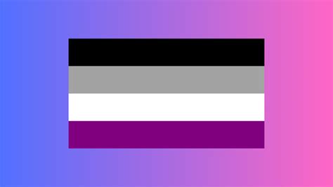 The Asexual Pride Flag Into
