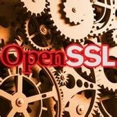 OpenSSL Patched Against High Severity Denial Of Service Bug And Other Flaws Graham Cluley
