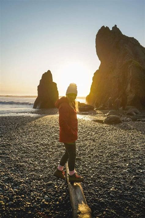 Tree Of Life Washington State S Most Unique Tree While It Lasts Uprooted Traveler