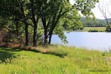 Like A Tree Planted By Streams Of Water Joni Shaffer