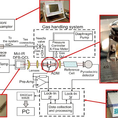 Pdf Real Time Detection Of Exhaled Human Breath Using Quantum Cascade Laser Based Sensor