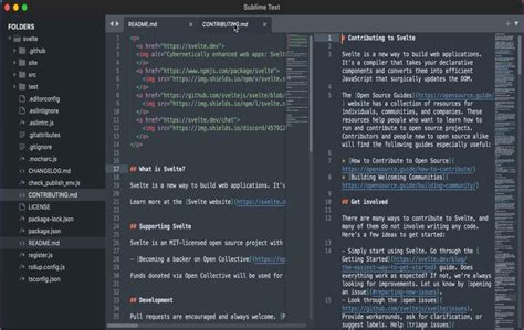 Sublimetext Vs Vscode Lufess