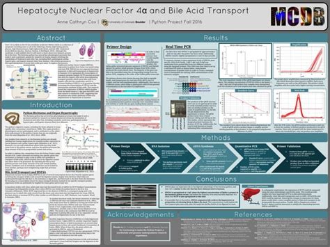 Python Poster 1 Ppt Python Poster 1 Ppt