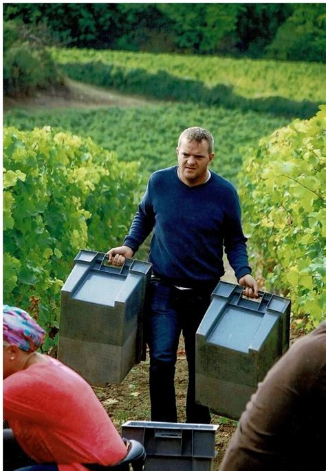 Domaine Philippe Alliet Skurnik Wines And Spirits