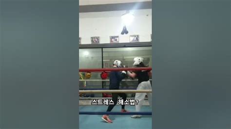복싱장에서 스트레스 해소하는 여성회원님 복싱 스파링 권투 스트레스해소 Youtube