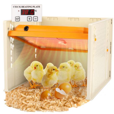 【local Delivery】brooder Heater For Chicks Chick Brooder Heating Plate