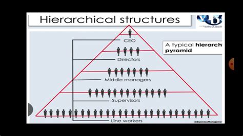 Nta Ugc Net 2024 Management Paper2 Unit 1 Organisation Structuretypes